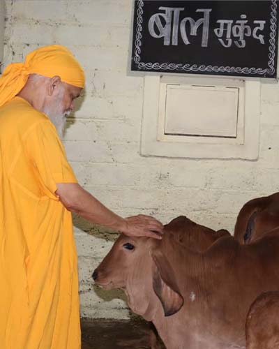 ypbsst – Gurutattva